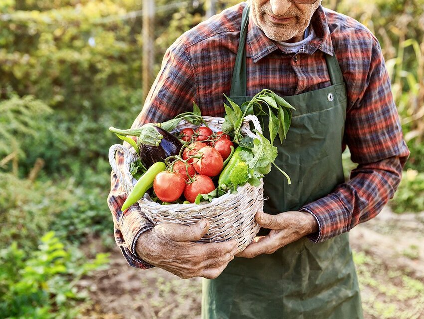 Brusque | Word Genius